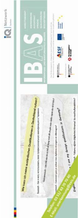 IBAS Informationen | IQ NETZWERK Sachsen